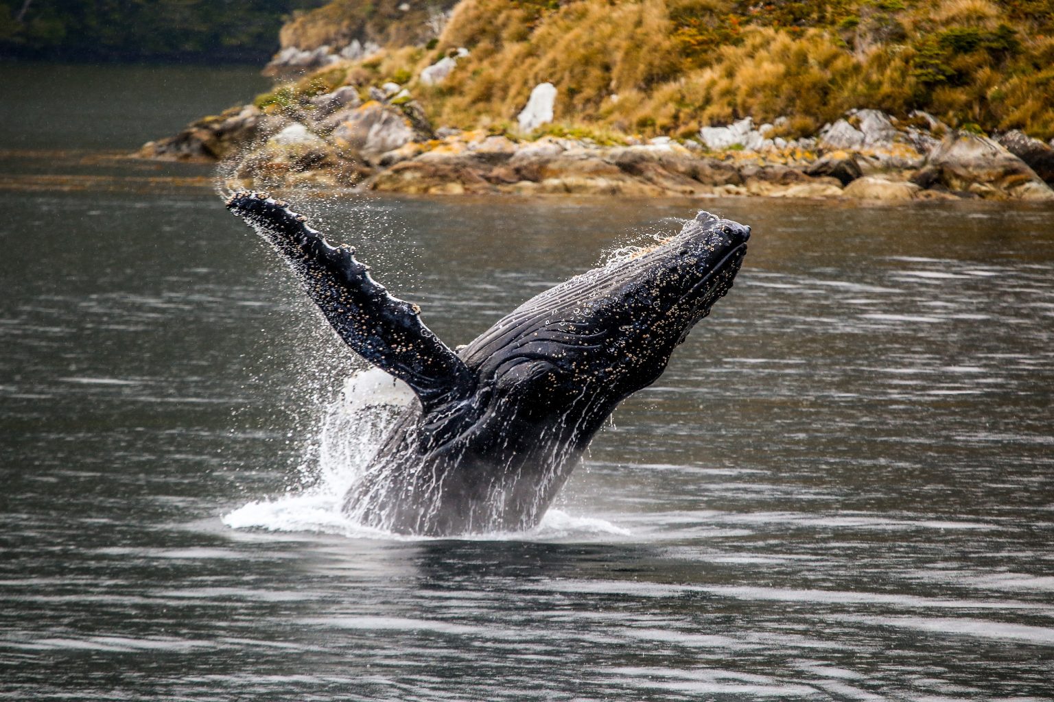 Descubre Punta Arenas: Las mejores atracciones, actividades y Lugares ...